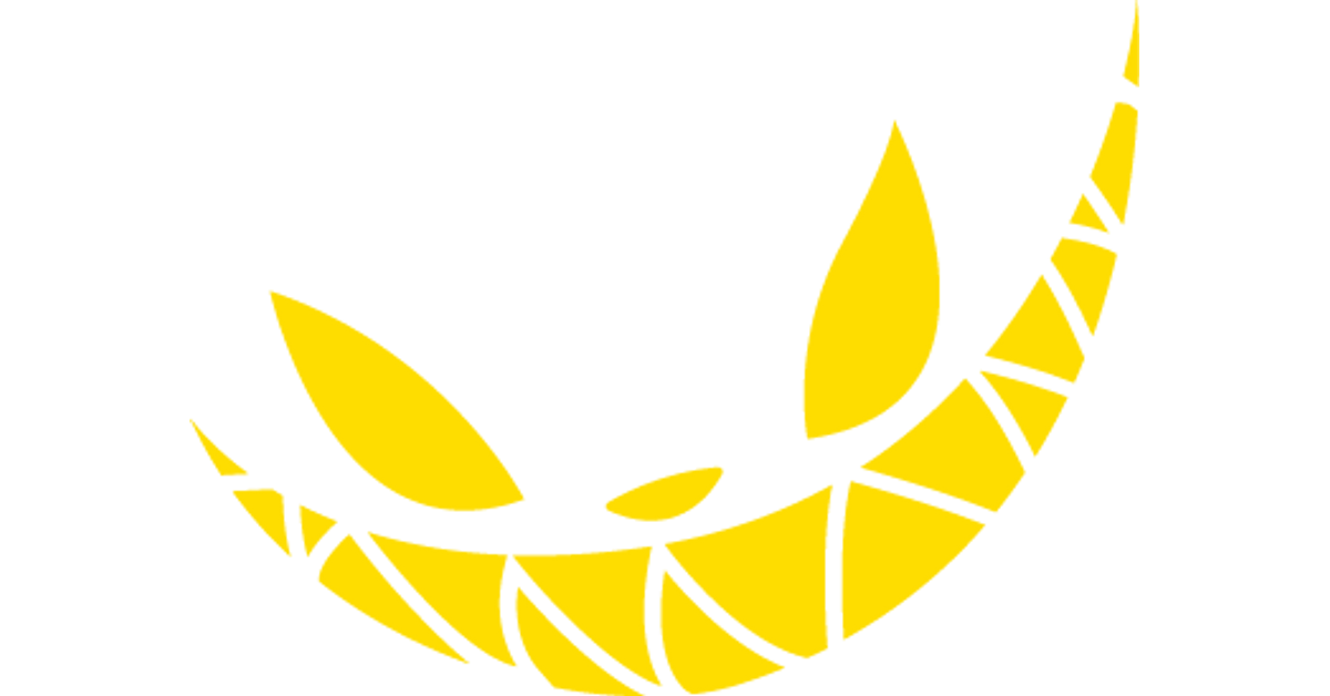 Colecciones – Madkat Lab